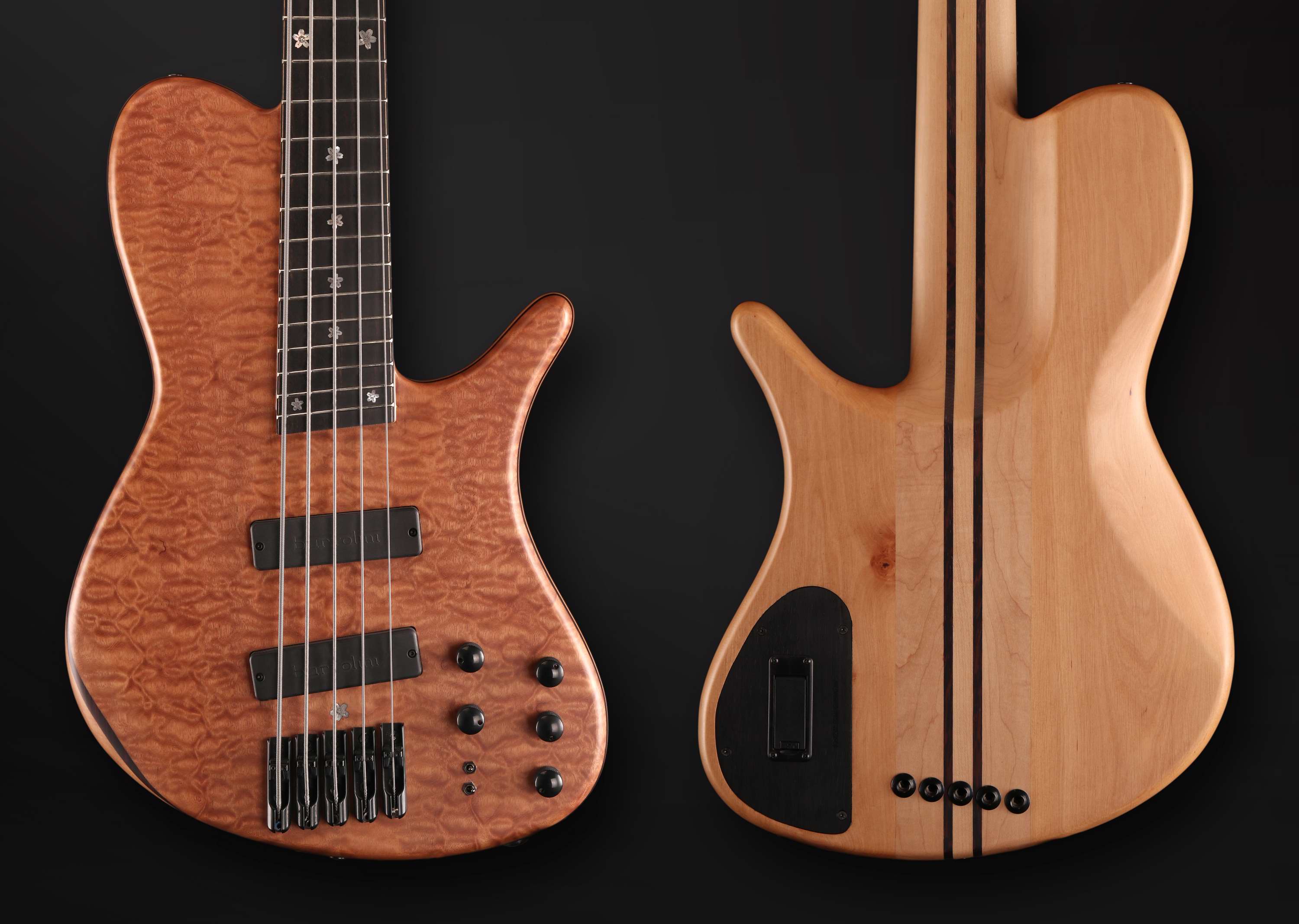 AVS | AV Basses